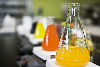 Flavorman - Our Team of Experts: Expert flavor developers, technicians ...